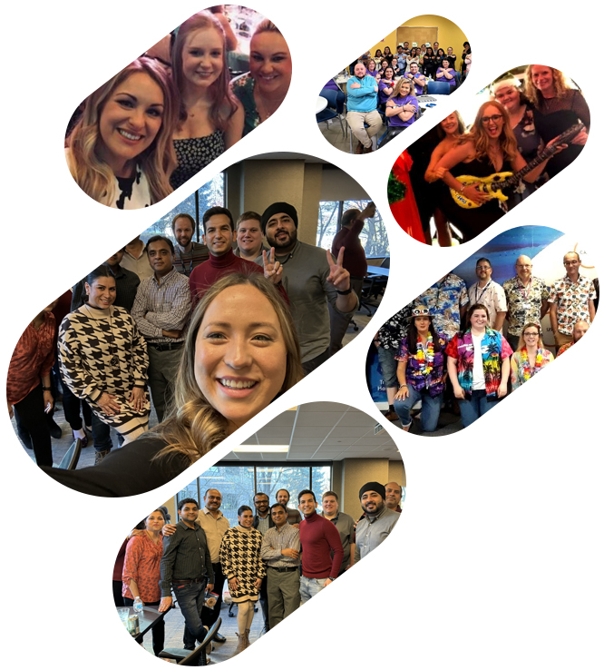 10 Important Customer Service Duties And Responsibilities JoinHGS